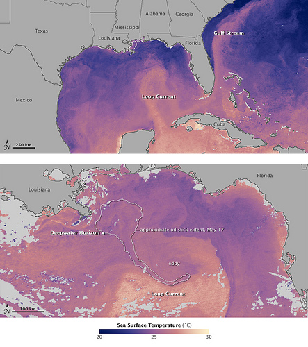 Gulf Oil Slick in Loop Current
