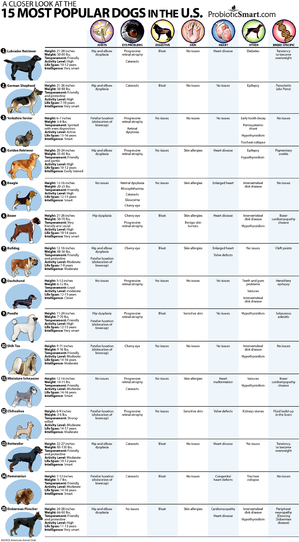 The 15 Most Popular Dogs in the U.S.